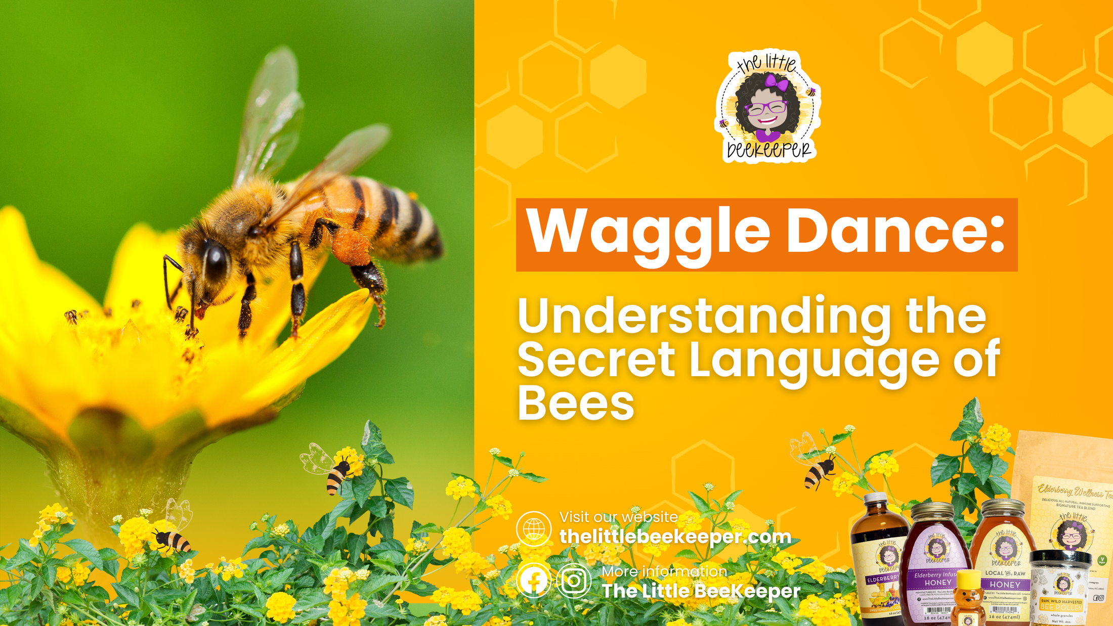 Inside the Secret Language of Bees: How the Waggle Dance Shapes the Ho ...