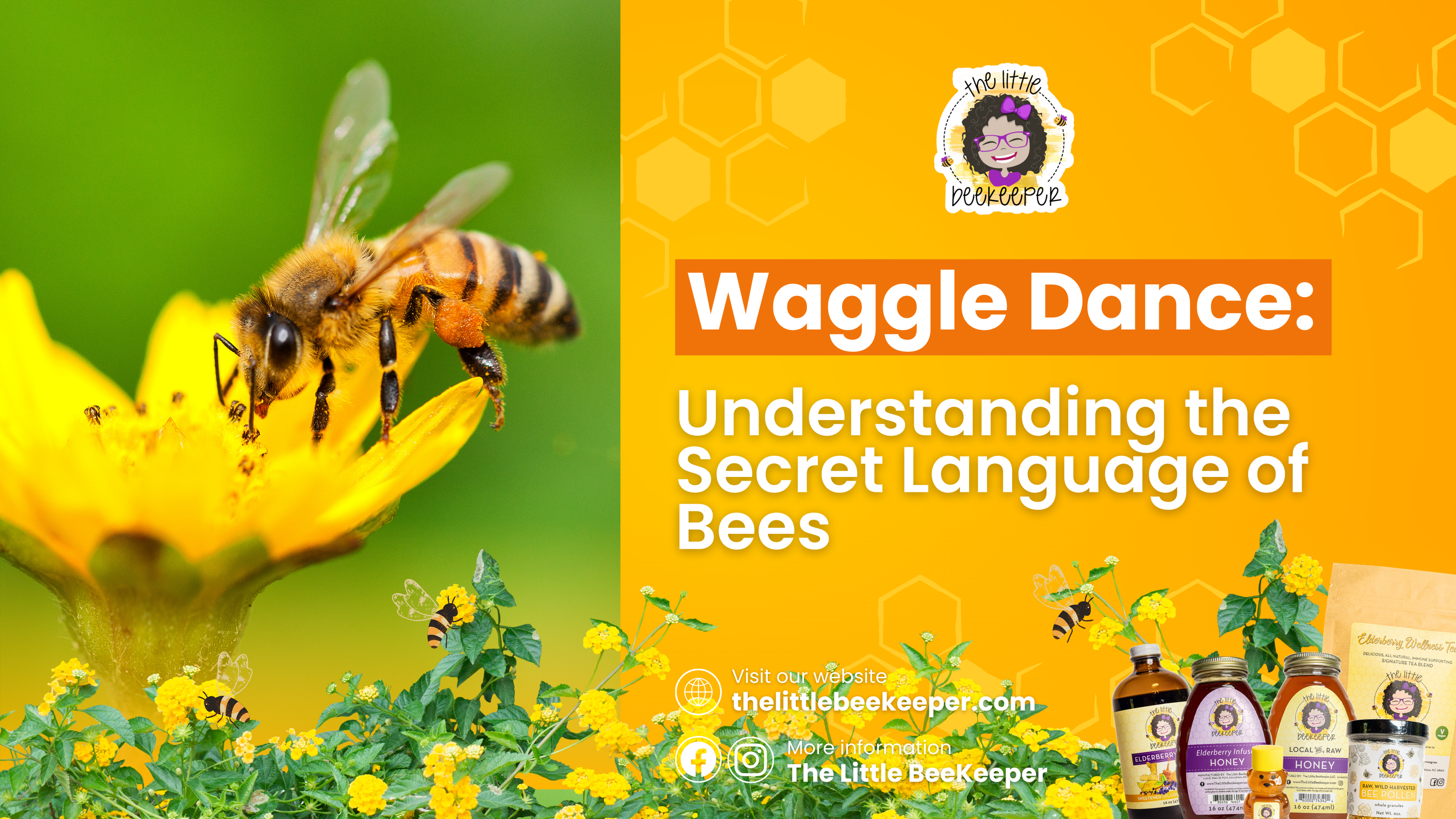 Inside the Secret Language of Bees: How the Waggle Dance Shapes the Ho ...